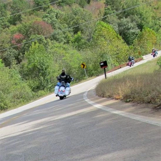 The Pig Trail - The Steel Horse Rally