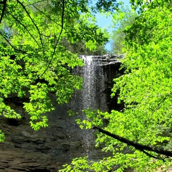 The Thunder Loop - The Steel Horse Rally